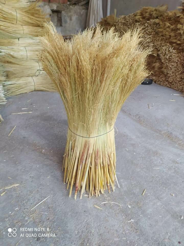 Temizlik teknolojileri firmaları Çatal Çekiç Süpürgecilik, Edirne, foto