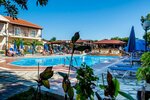 Sotiris Studios (Ionian Islands, Svoronata), daireler  Dünya'dan