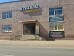 Arsmotors (Sergei Tulenina Street No:49/7), otomobil yedek parçaları  Oral'dan (Uralsk'tan)