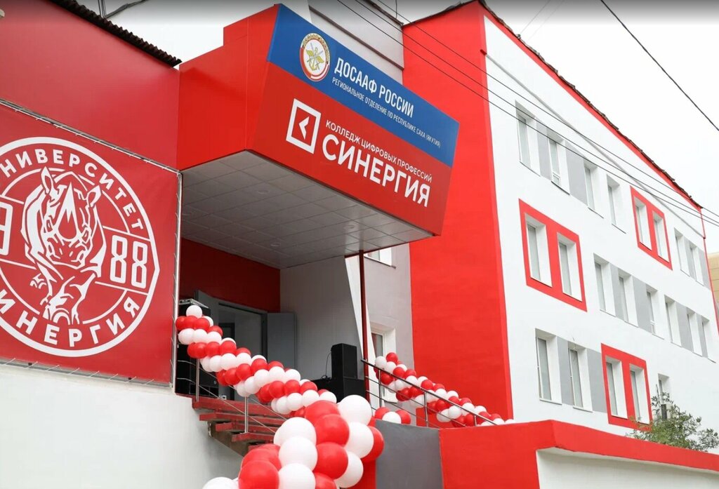 Yüksekokul Synergy, Yakutsk, foto