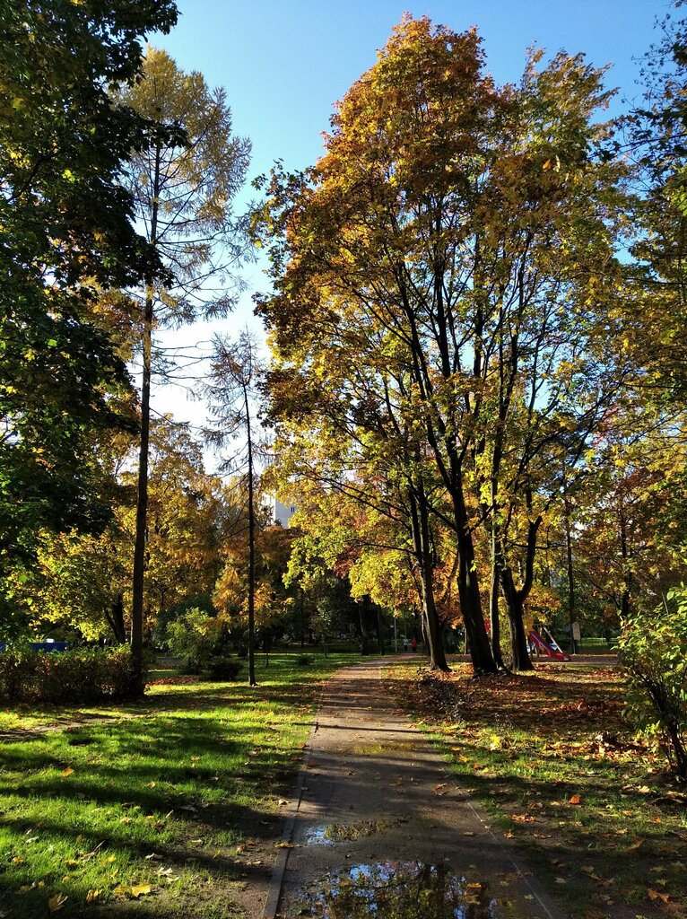 Kültür ve eğlence parkları Гаврский сквер, Saint‑Petersburg, foto