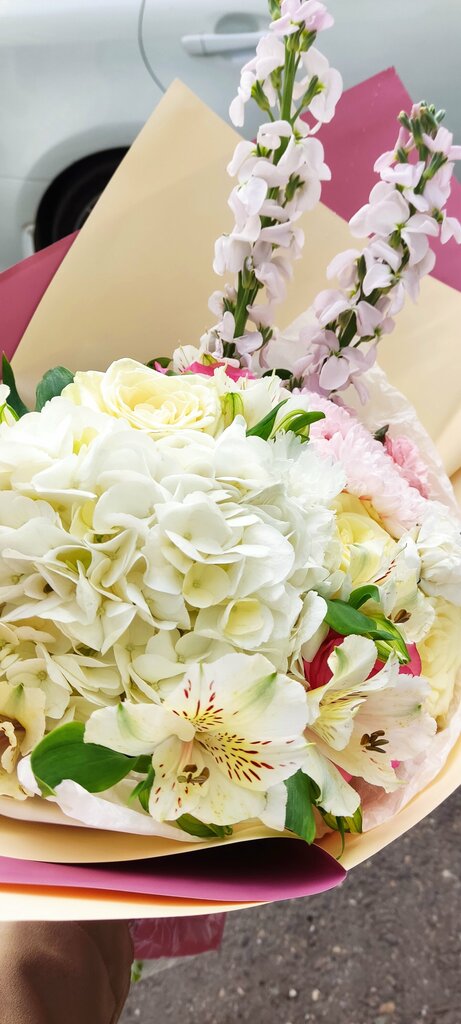 Çiçekçiler Цветы юга, Krasnodar, foto