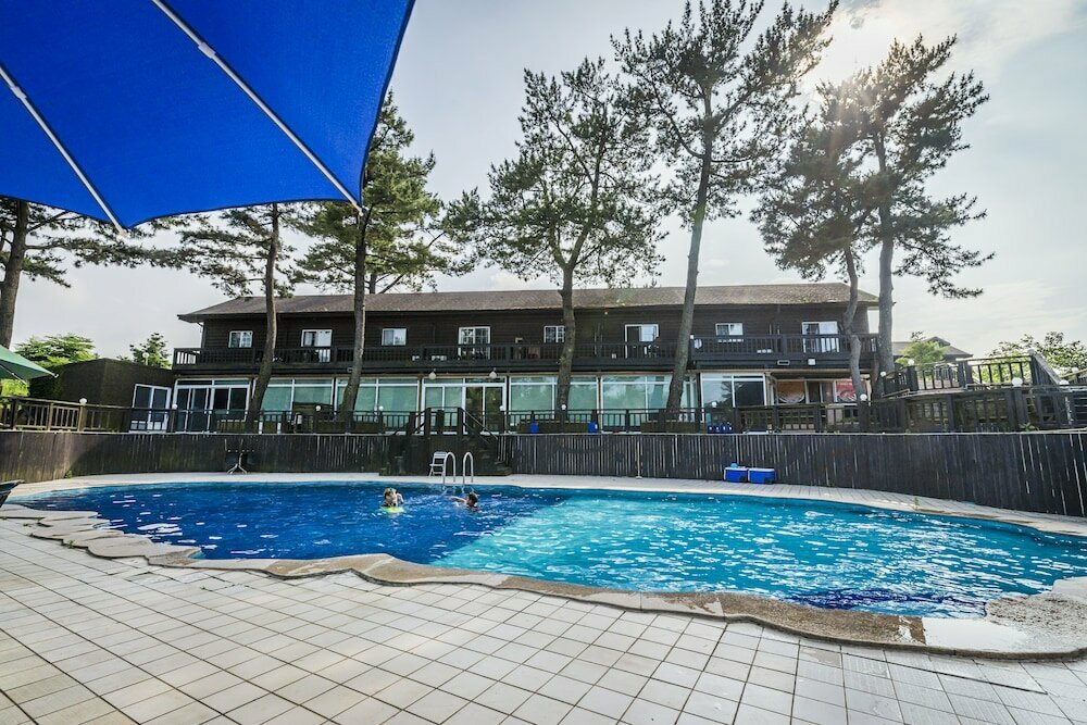 Otel Solveige Pension, Dünya, foto