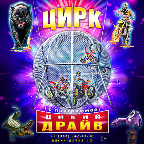 Sirkler Дикий Драйв, Blagoveshchensk, foto