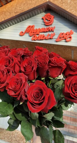 Çiçekçiler Millions of scarlet roses, Altayski krayı, foto