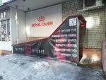 Кожа да кости, тату-студия (Telmana Street No:144), dövmeciler  Engels'ten