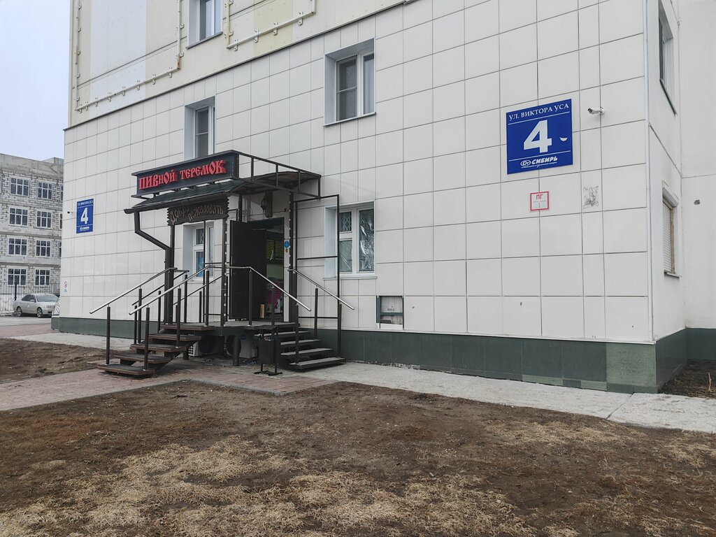Ödeme terminali Кенгу 24, Novosibirsk, foto