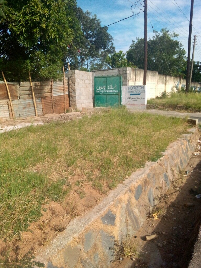 Medikal ürün mağazası Horizon Phaeticeuticals Limited, Lusaka, foto