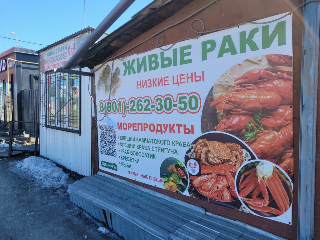 Balık ve deniz ürünleri Живая рыба, Omsk, foto