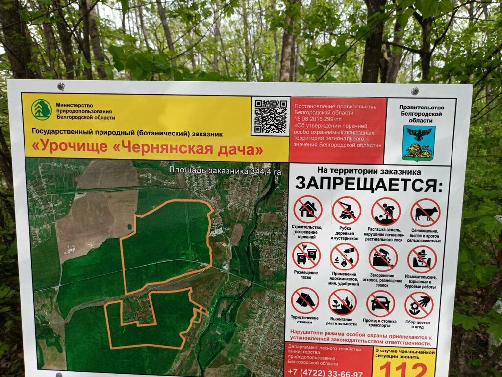Orman урочище Чернянская дача, Belgorodskaya oblastı, foto