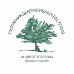Pitomnik dekorativnykh rasteny (Tsentralnaya ulitsa No:75, selo Bunkovo), sera ve bahçe ürünleri  İvanovskaya oblastından