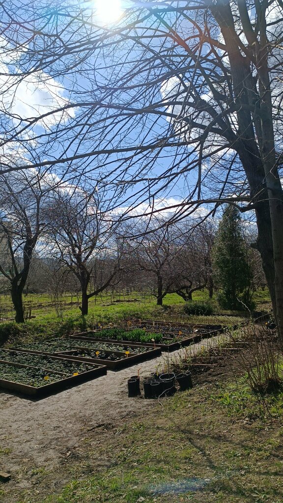 Bilim araştırma enstitüsü Uchebno-opytny pochvenno-ekologichesky tsentr Mgu imeni M. V. Lomonosova, Moskova ve Moskovskaya oblastı, foto