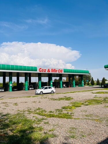 Otogaz dolum istasyonu Gas Station, Taşkent eyaleti, foto