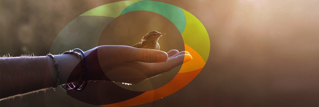 Evcil hayvanlar için ürünler Триол, Moskova, foto