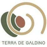 Terra de Galdino Atelier (Rio de Janeiro, Município do Rio de Janeiro, Rua Fernando Magalhães), sanat okulları  Rio de Janeiro'dan