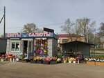 Цветы Салюты (Melnichnaya ulitsa No:96), çiçekçiler  Omsk'tan