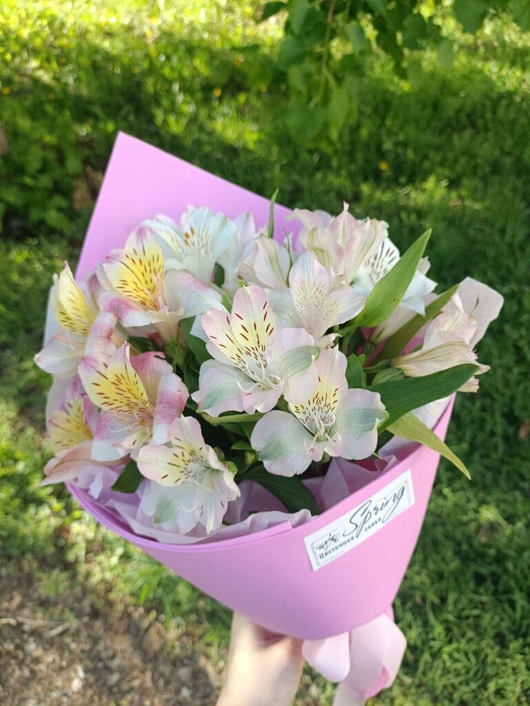 Çiçekçiler Spring, Tolyatti (Togliatti), foto