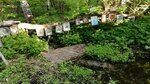 Spring, stream (Tambov Region, Michurinsk), pınar, çay  Miçurinsk'ten