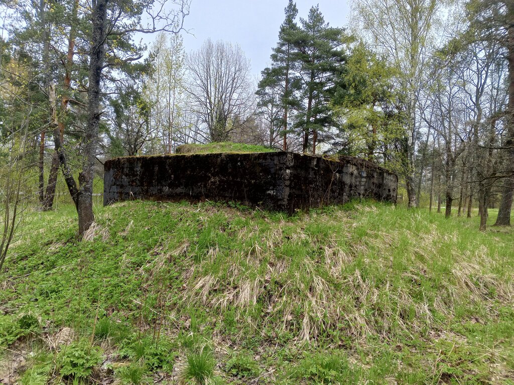 Turistik yerler Долговременная огневая точка, Peterhof, foto