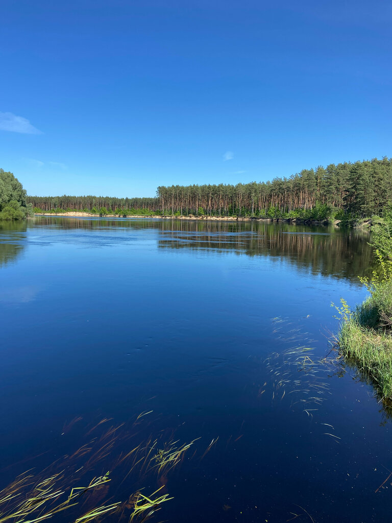 Otel Berezina Agroekousadba, Gomelskaya oblastı, foto