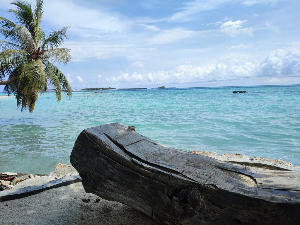 Otel Tropic Tree Hotel Maldives, , foto
