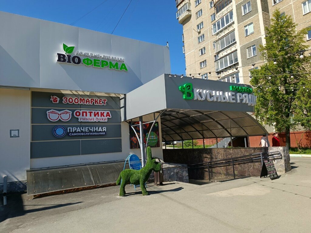 Market Sitno, Çeliabinsk, foto