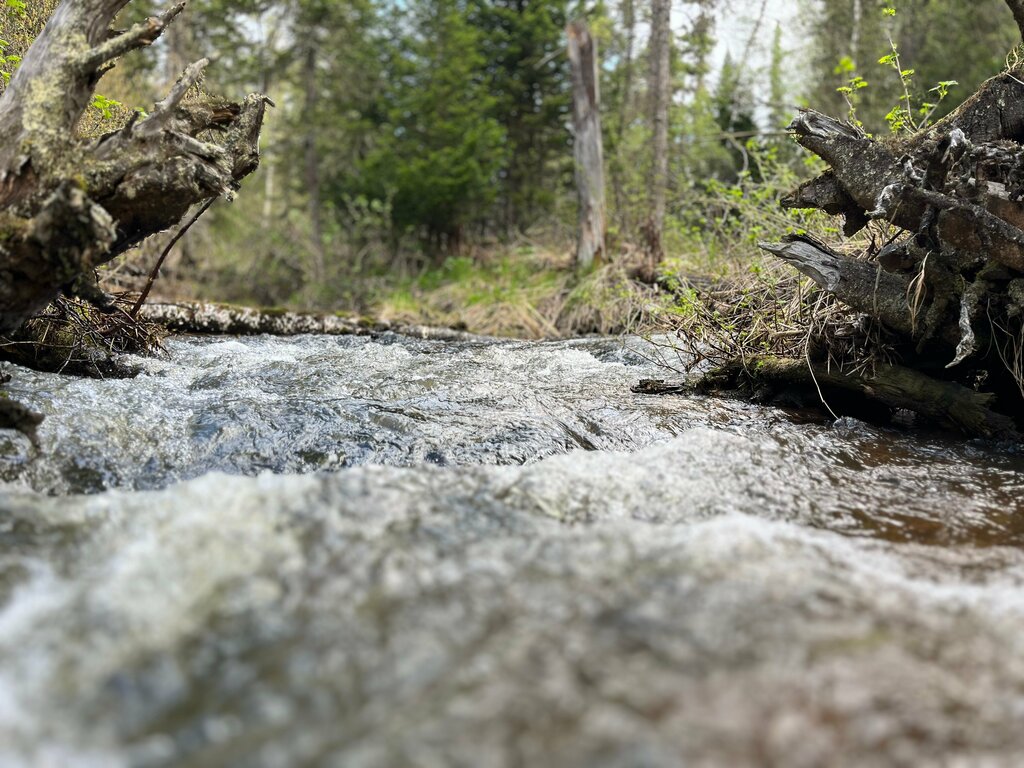 Dağ zirvesi Гора Карлыган, Hakasya, foto
