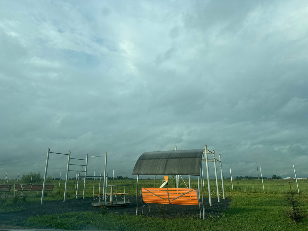 Yol kenarı dinlenme alanı Придорожная зона отдыха, Moskova ve Moskovskaya oblastı, foto