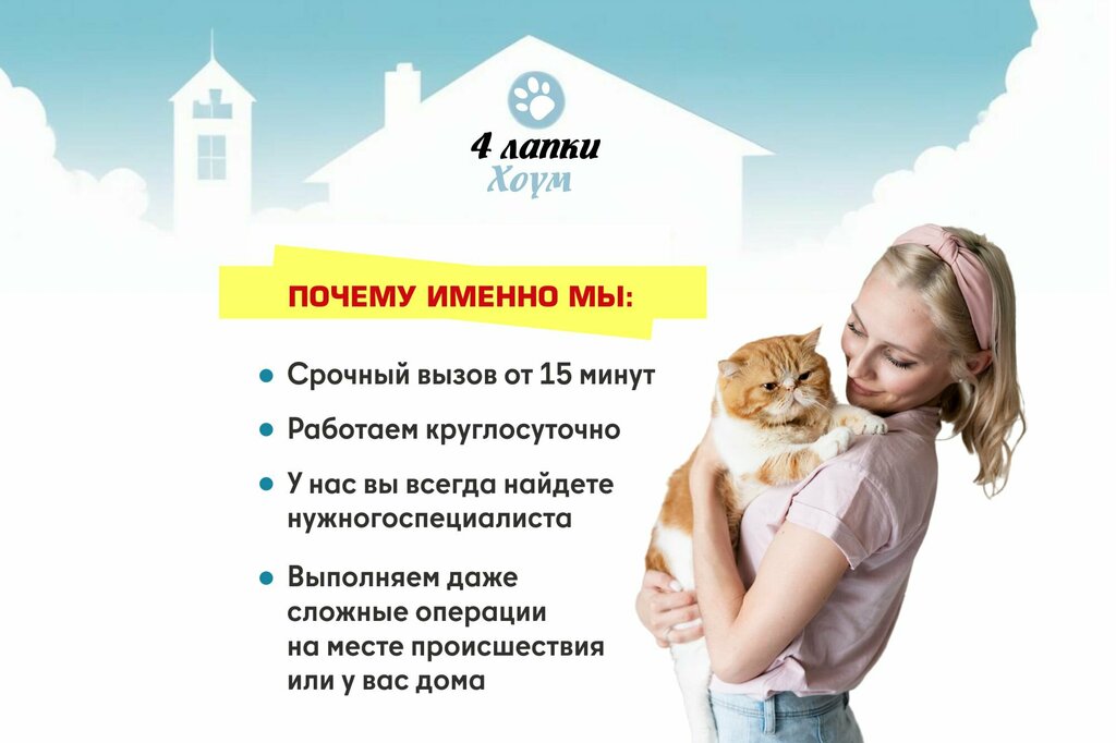 Veteriner klinikleri Четыре Лапки Хоум, Dedovsk, foto