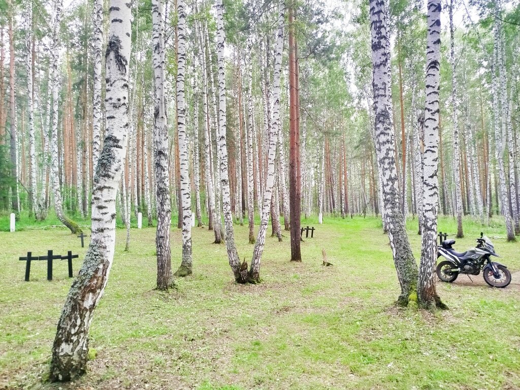 Anıt, heykel Кладбище венгерских военнопленных, Sverdlovskaya oblastı, foto