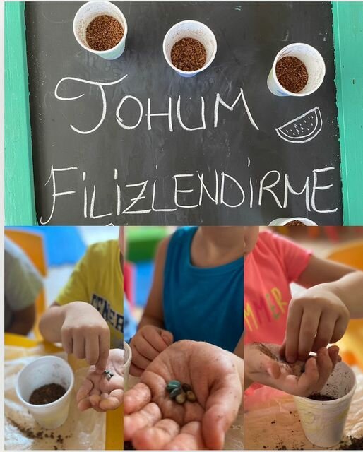 Anaokulları Özel Yeşil Elma Siteleri Anaokulu, Ankara, foto