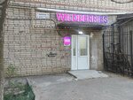 Wildberries (Yablochkova Street No:1Г), teslimat noktası  Astrahan'dan