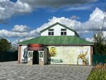 Сельская администрация (ulitsa Chekhova No:33А/2, selo Gremyachye), belediyeler, devlet daireleri  Voronejskaya oblastından