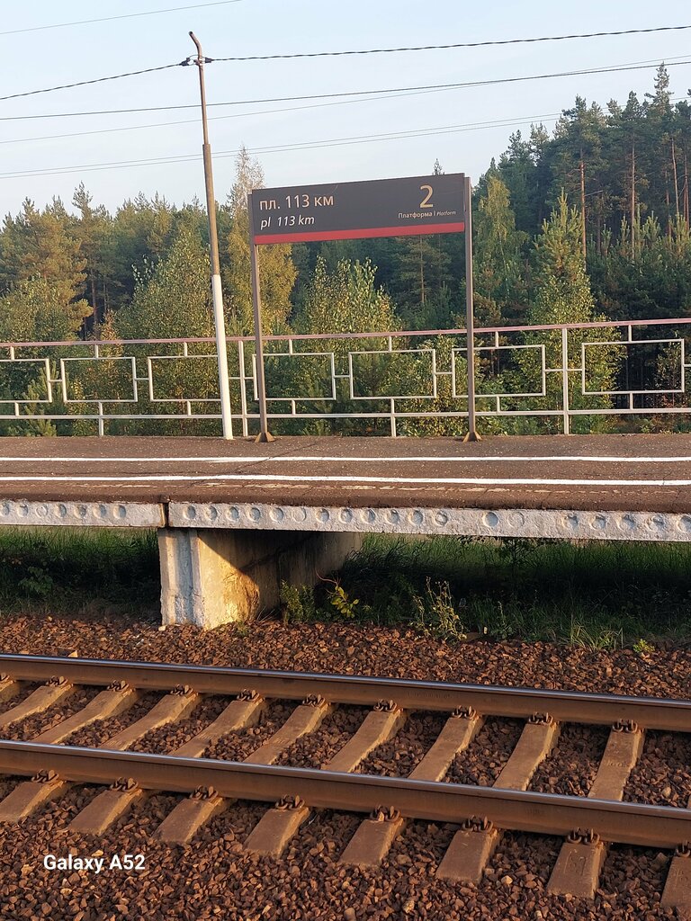 Tren istasyonu платформа Новое Перепечино, Vladimirskaya oblastı, foto