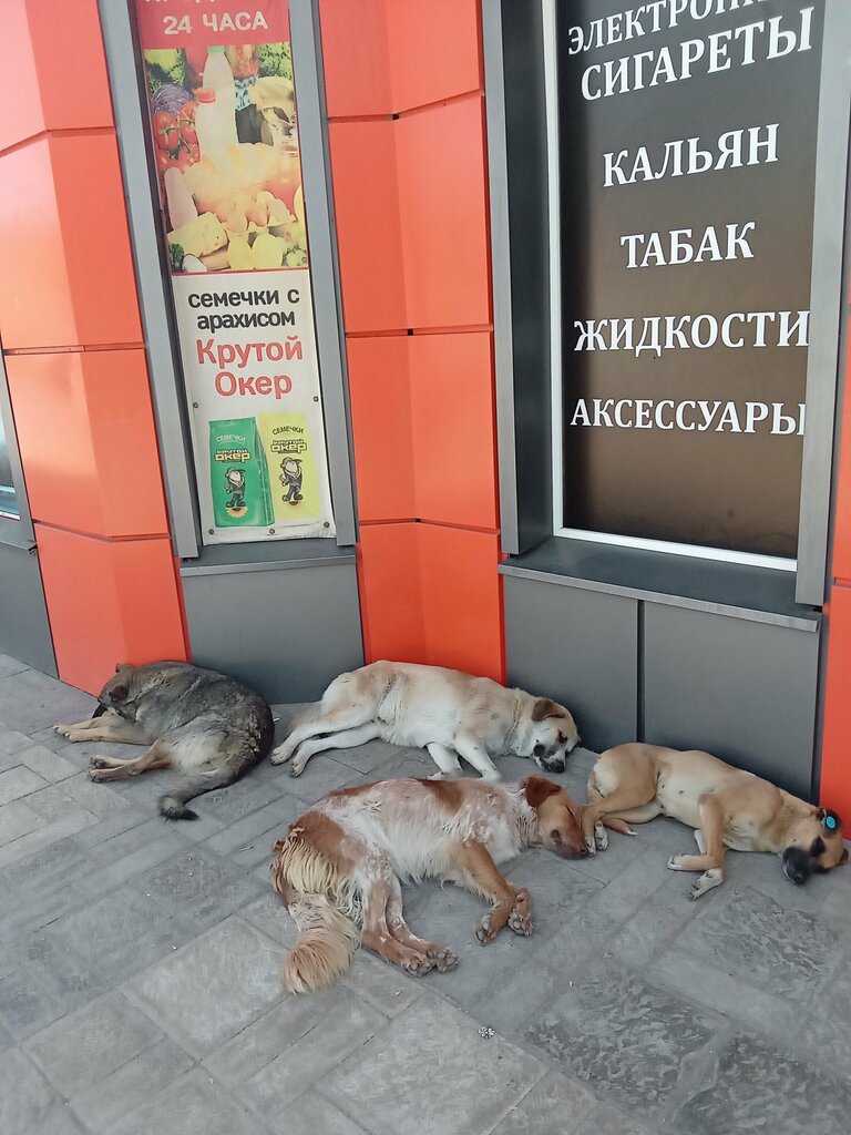 Park, sokak heykeli Трусовский район, Astrahan, foto