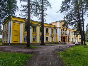 Усадьба П.Х. Витгенштейна (Sadovaya ulitsa No:7, posyolok Druzhnoselye), turistik yerler  Saint‑Petersburg ve Leningradskaya oblastından