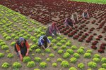 Gümüşova Ziraat Odası (Düzce, Gümüşova, Yeni Mah., 403. Sok., 3A), sanayi ve ticaret odaları  Gümüşova'dan