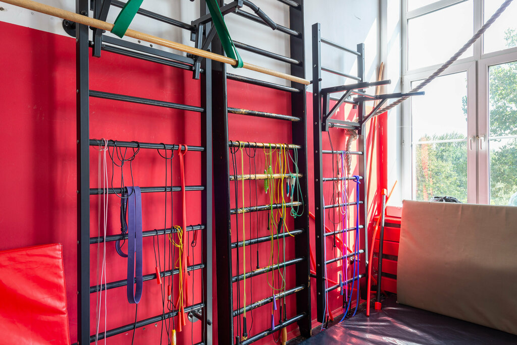 Spor kulüpleri Shkarin School, Moskova, foto