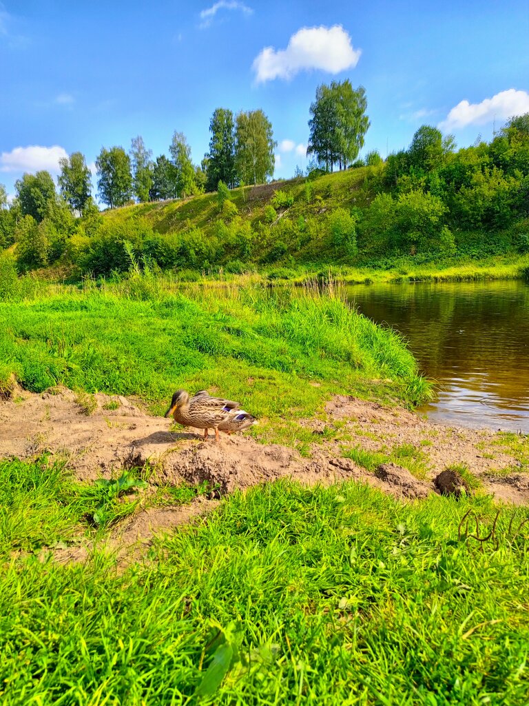 Plaj Пляж, Rzhev, foto