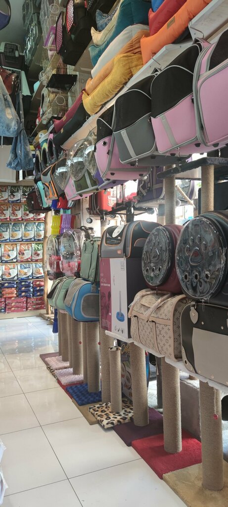 Petshop Cesii Pet & Kuaför, İstanbul, foto