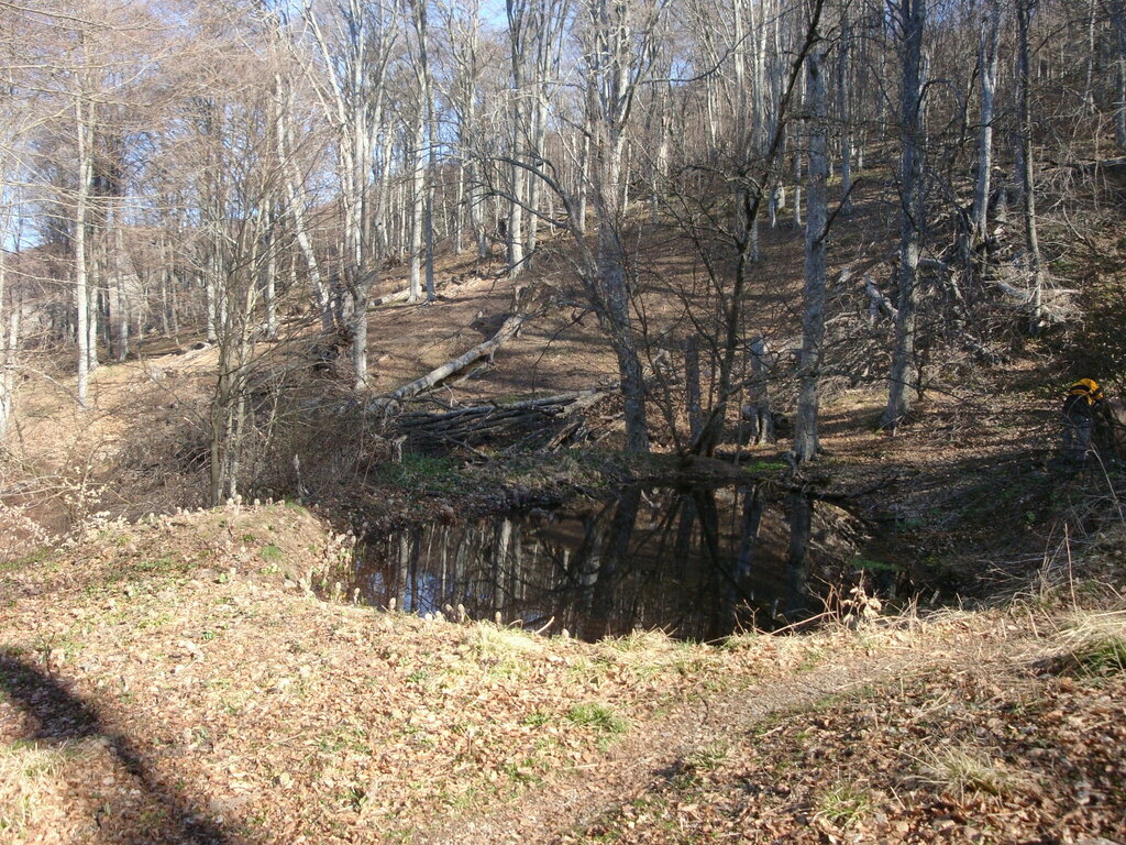 Pınar, çay Су-Ат-I Бочка, Kırım Cumhuriyeti, foto
