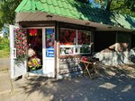 Искусственные цветы (Leningrad Region, Tikhvin, 5-y mikrorayon), çiçekçiler  Tixvin'den