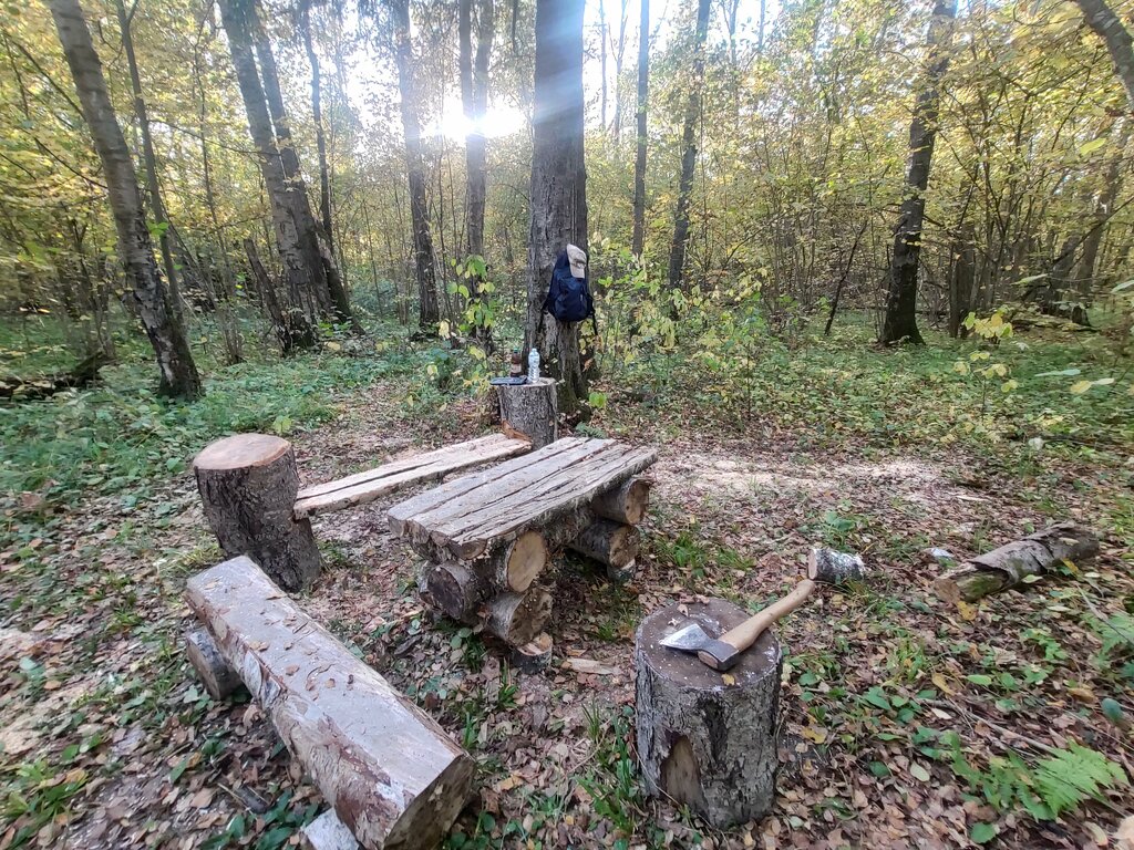 Piknik alanı Место для пикника, Moskova ve Moskovskaya oblastı, foto