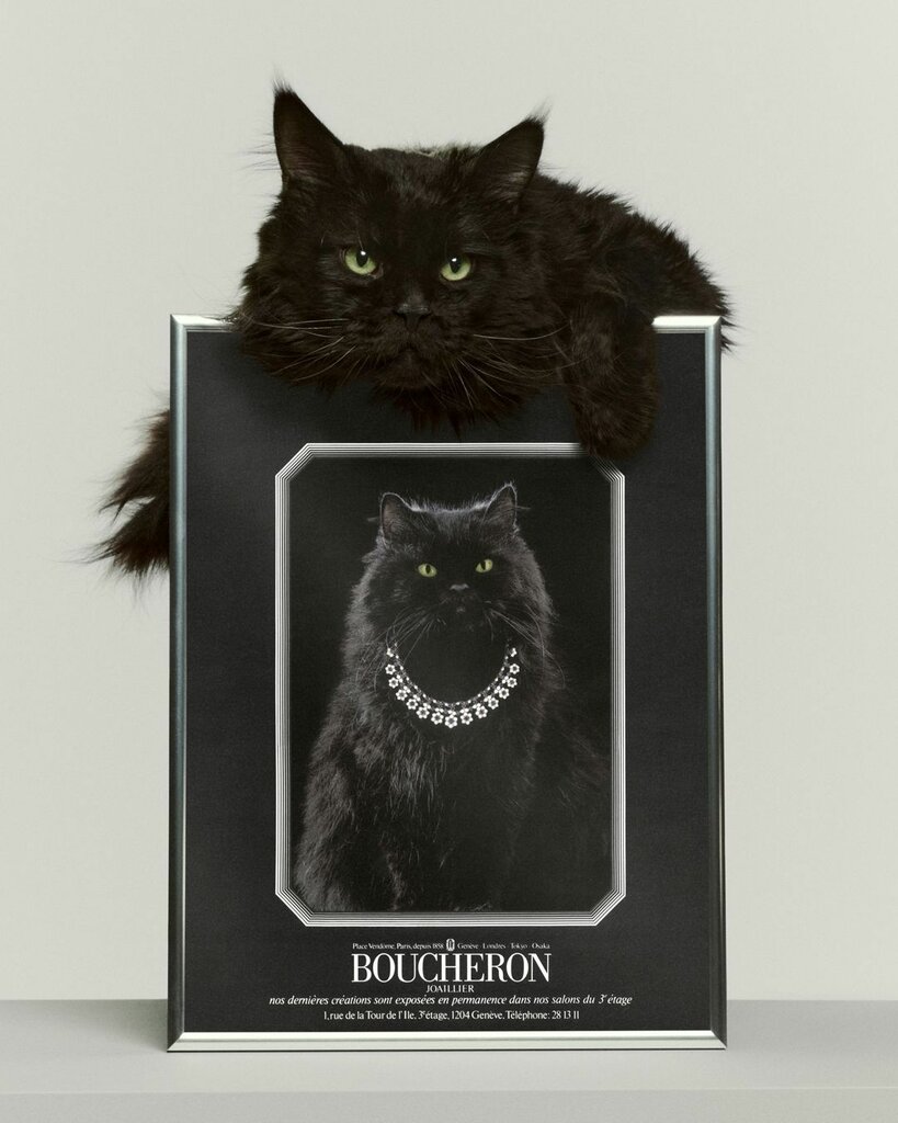 Giyim mağazası Boucheron, İstanbul, foto