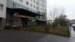 Family Flowers (Qabanbaı Batyr dańǵyly No:42), çiçekçiler  Astana'dan