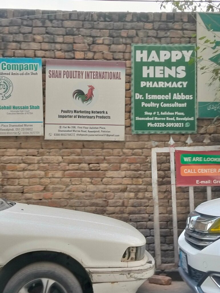 Market Shah Poultry International, Rawalpindi, foto