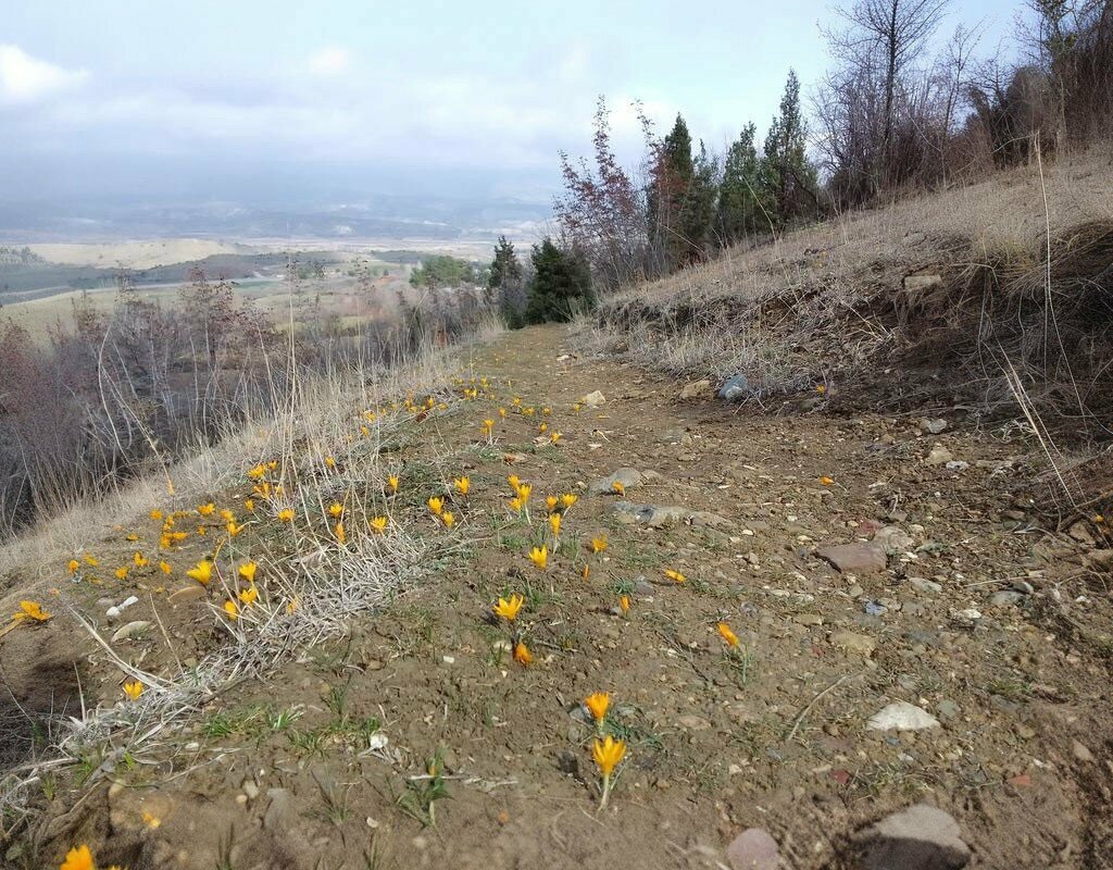Turistik yerler Salar Köyü Kaya Mezarlığı, Boyabat, foto