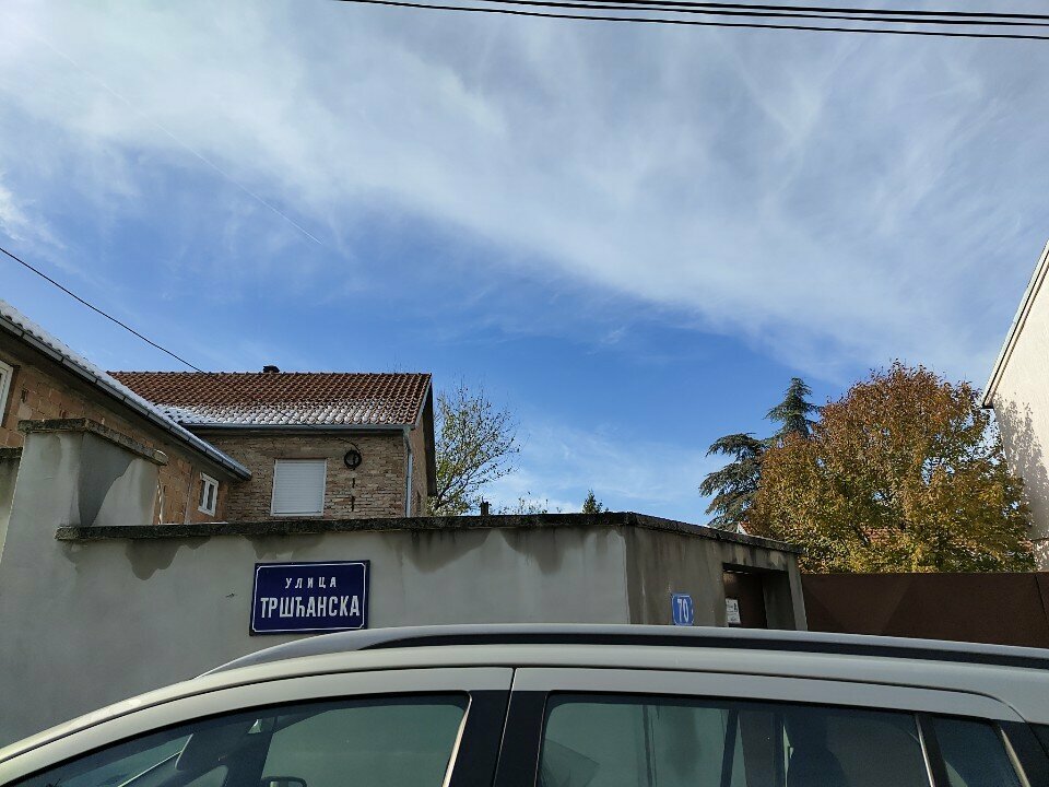 Evcil hayvan yetiştiricileri Russicatblue russian blue cattery, Belgrad, foto