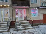 Табак (Basseynaya Street No:65), elektronik sigara satış noktaları  Saint‑Petersburg'dan