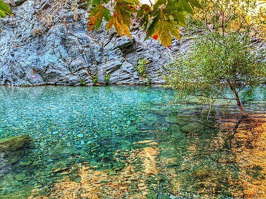 Parklar ve ormanlar Kazdağı Millî Parkı, Edremit, foto